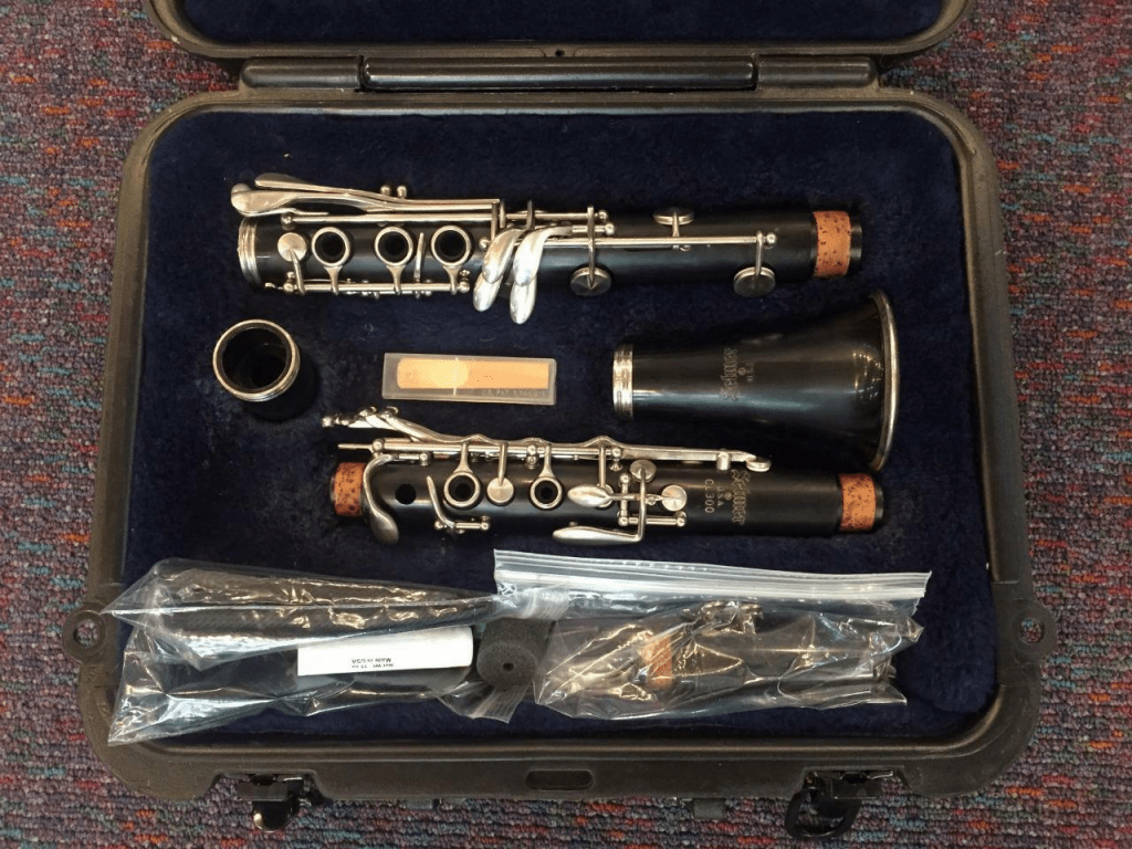Selmer CL300 Student Clarinet Review - Clarinet Expert