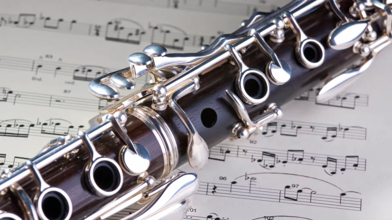Wood Clarinet Care and Preservation - Everything you need to know ...