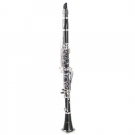 Best Clarinets for Marching Bands: The Most Popular Options - Clarinet ...